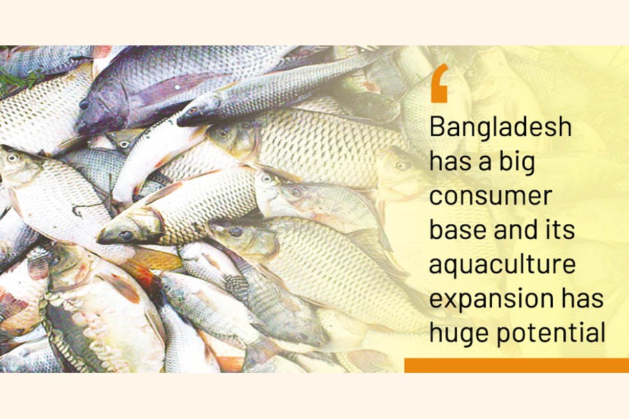New tech can boost BD fish output up | The Financial Express