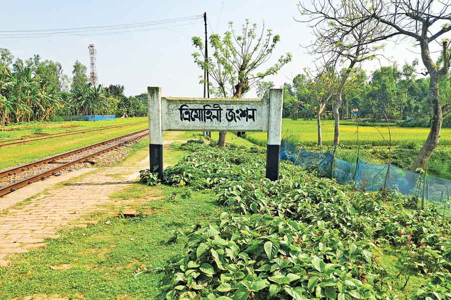 Retracing Jamuna’s defunct rail ferry route | The Financial Express