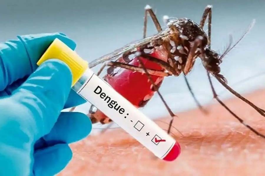 Why no urgency to contain dengue? | The Financial Express