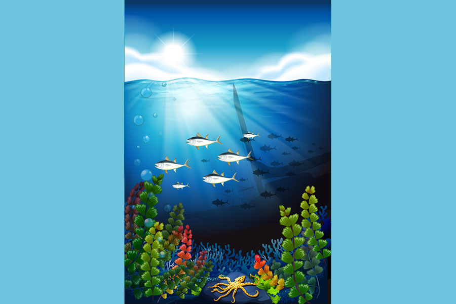 Protecting the deep-sea ecosystem of the Bay | The Financial Express