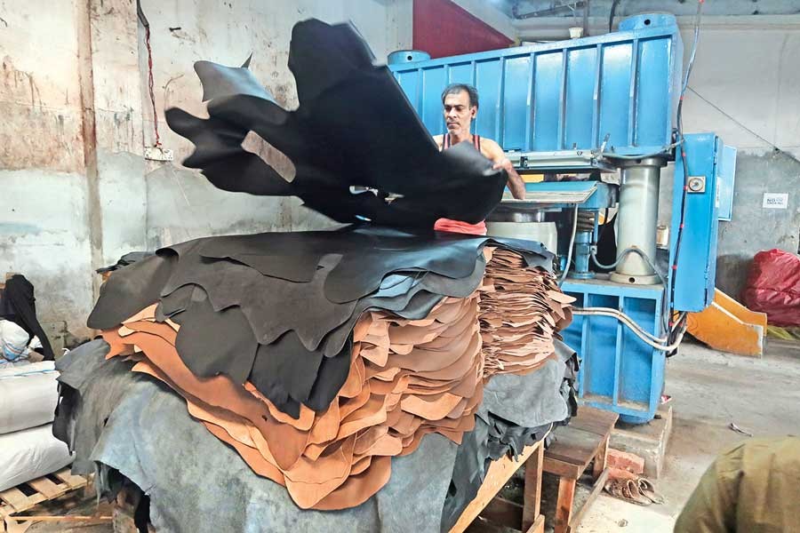 Realising potential of leather industry | The Financial Express