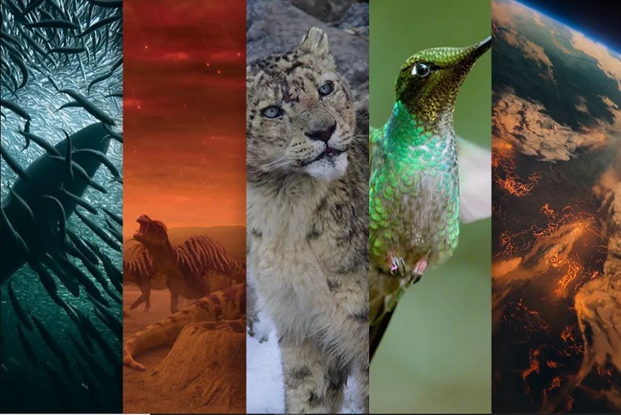 Life On Our Planet: A cinematic epic of earth's journey through time ...