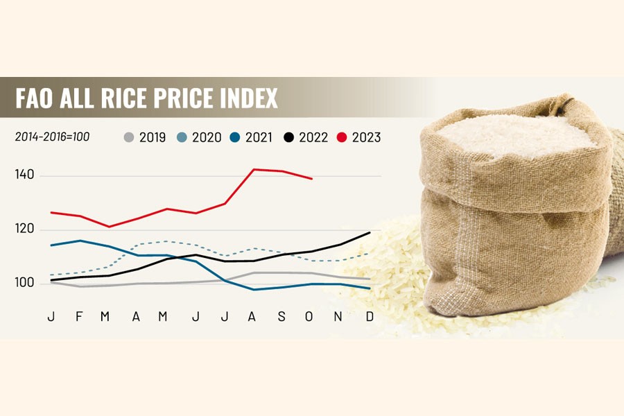 Rice price defies global downturn | The Financial Express