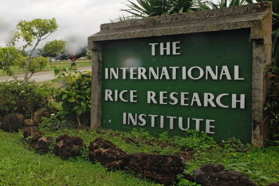 Join International Rice Research Institute as an Assistant Scientist in Agricultural Research ...