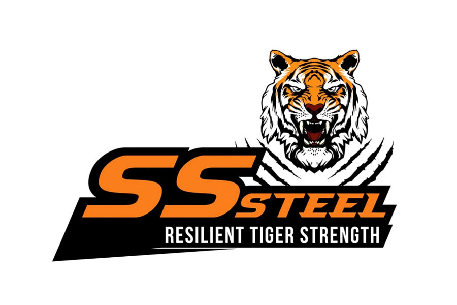 S.S. Steel to acquire more fixed assets to boost capacity | The ...