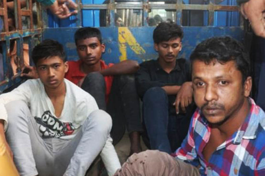 Four held for selling ‘dog meat biryani’ in Khulna | The Financial Express