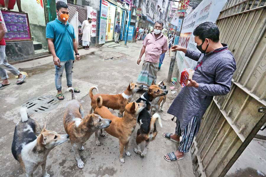 Love for animals upholds sanctity of life | The Financial Express