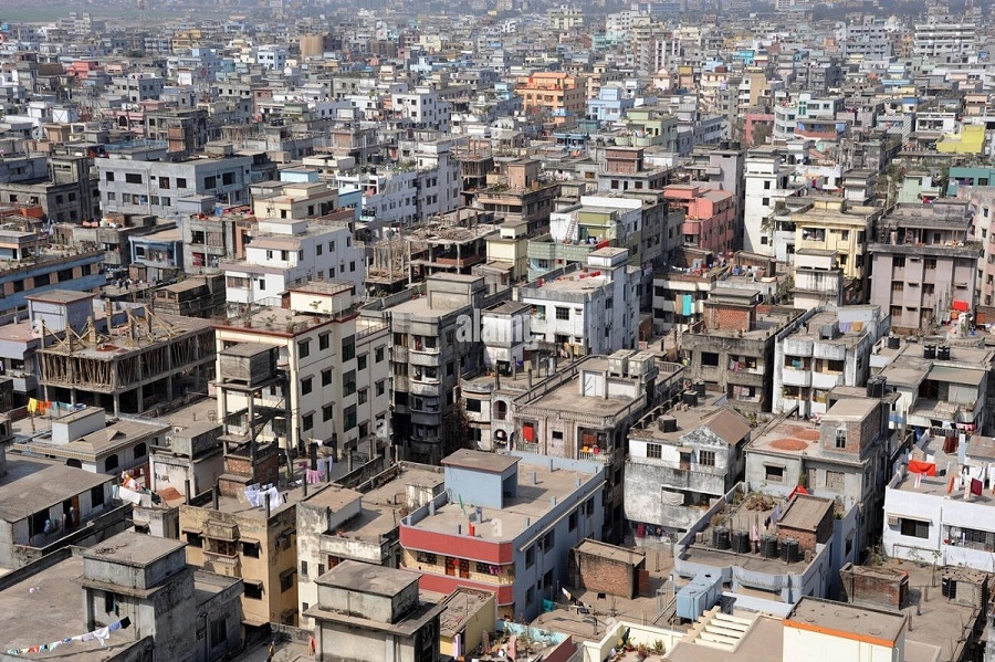 Criminal comedy in the great Mohammadpur area | The Financial Express