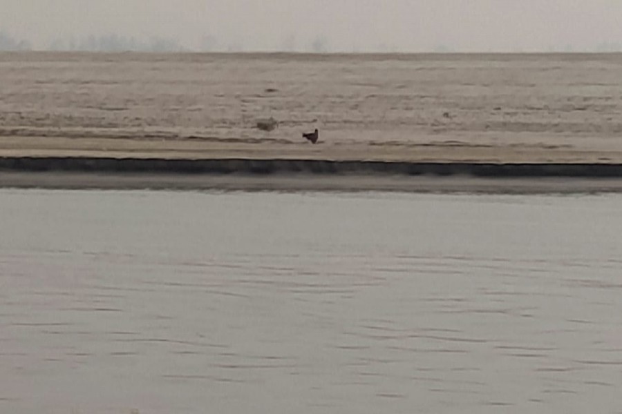 Valuable minerals discovered in sandy shoals of Gaibandha | The ...