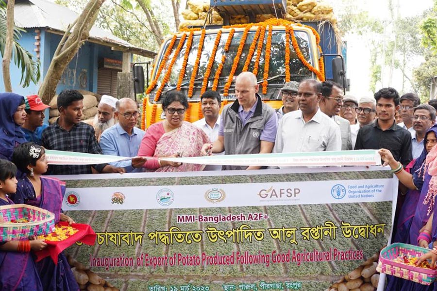 ‘Potato export from Rangpur farmers, supported by FAO, continues to ...