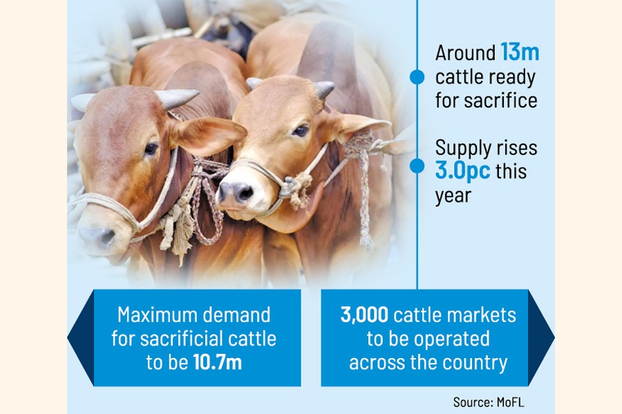 Cattle supply outpaces Eid demand by 2.3m | The Financial Express