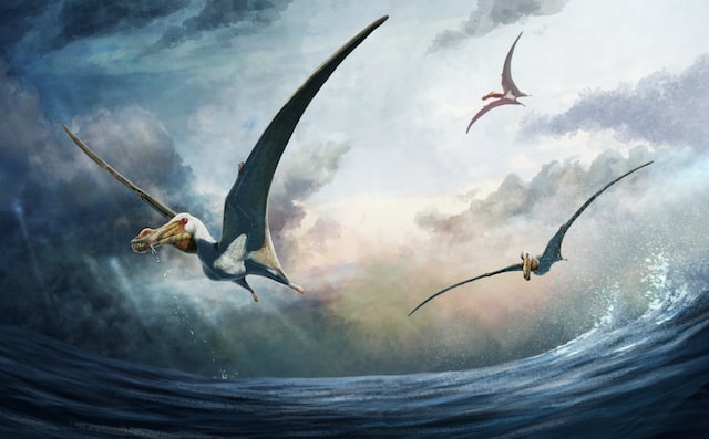 Fossils of flying reptile unearthed in Australia | The Financial Express