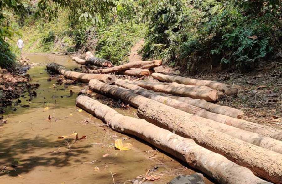 Environment ministry to seek DCs' assistance to recover grabbed forest ...