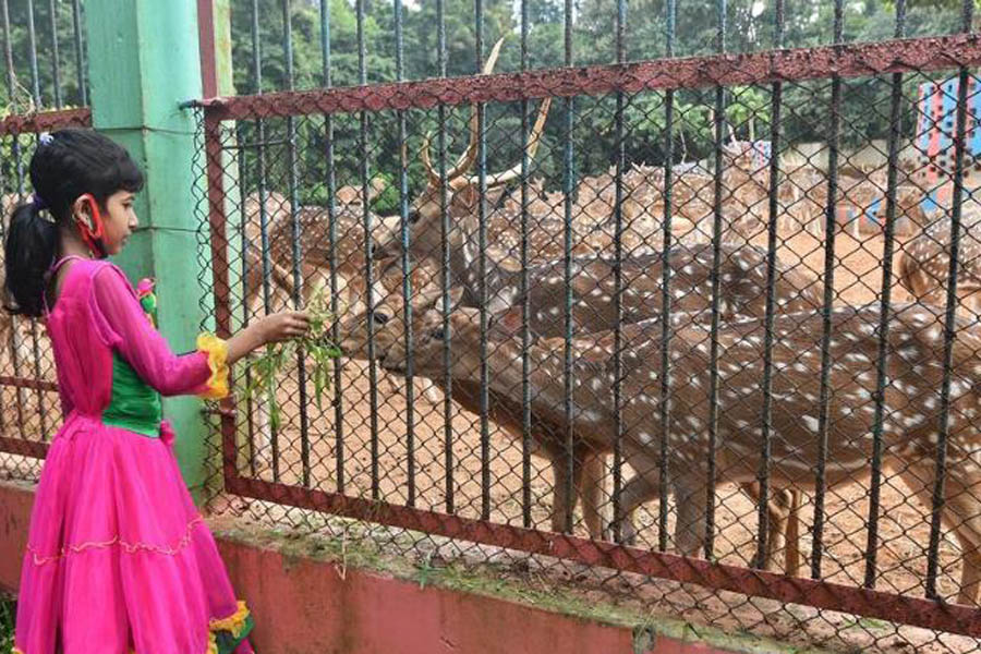Dhaka zoo reopens after nine days | The Financial Express