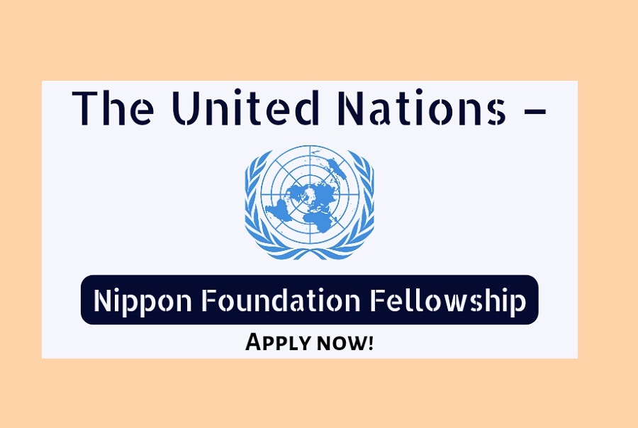 UN Nippon Foundation Fellowship 2025 is open now | The Financial Express