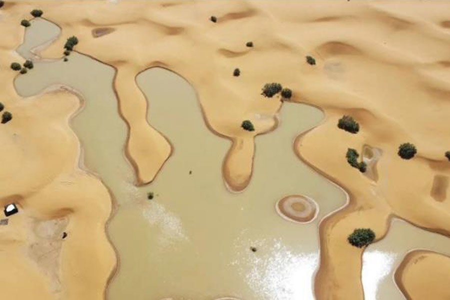 Sahara desert floods for first time in 50 years | The Financial Express