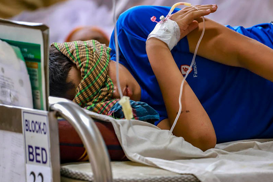 Eight die of dengue in 24 hours | The Financial Express