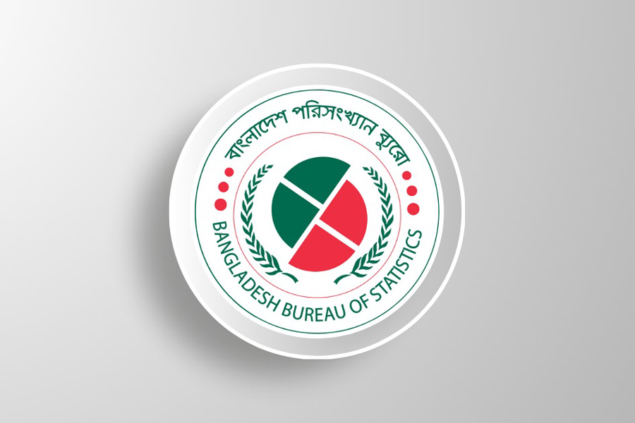 Interim government to implement new 'Statistics Policy' amid ...