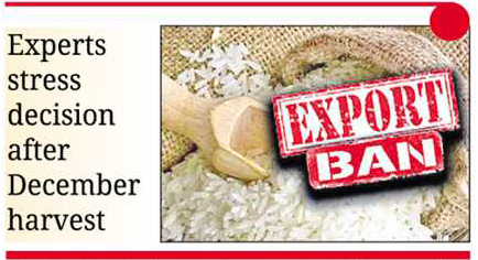 Agro processors want withdrawing rice export ban, meet today | The ...