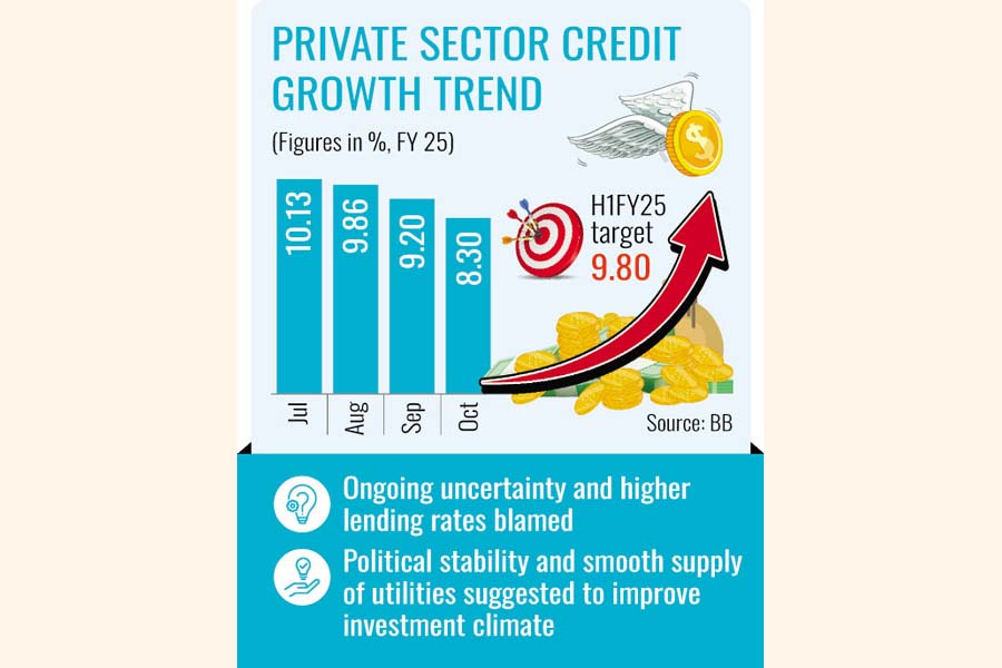 Private sector credit growth dwindles amid lower demand | The Financial ...