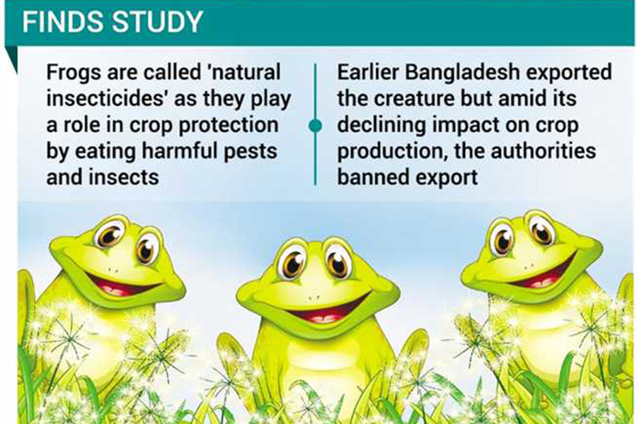 Microplastics in 90 pc frogs a menace to ecology, crops | The Financial ...