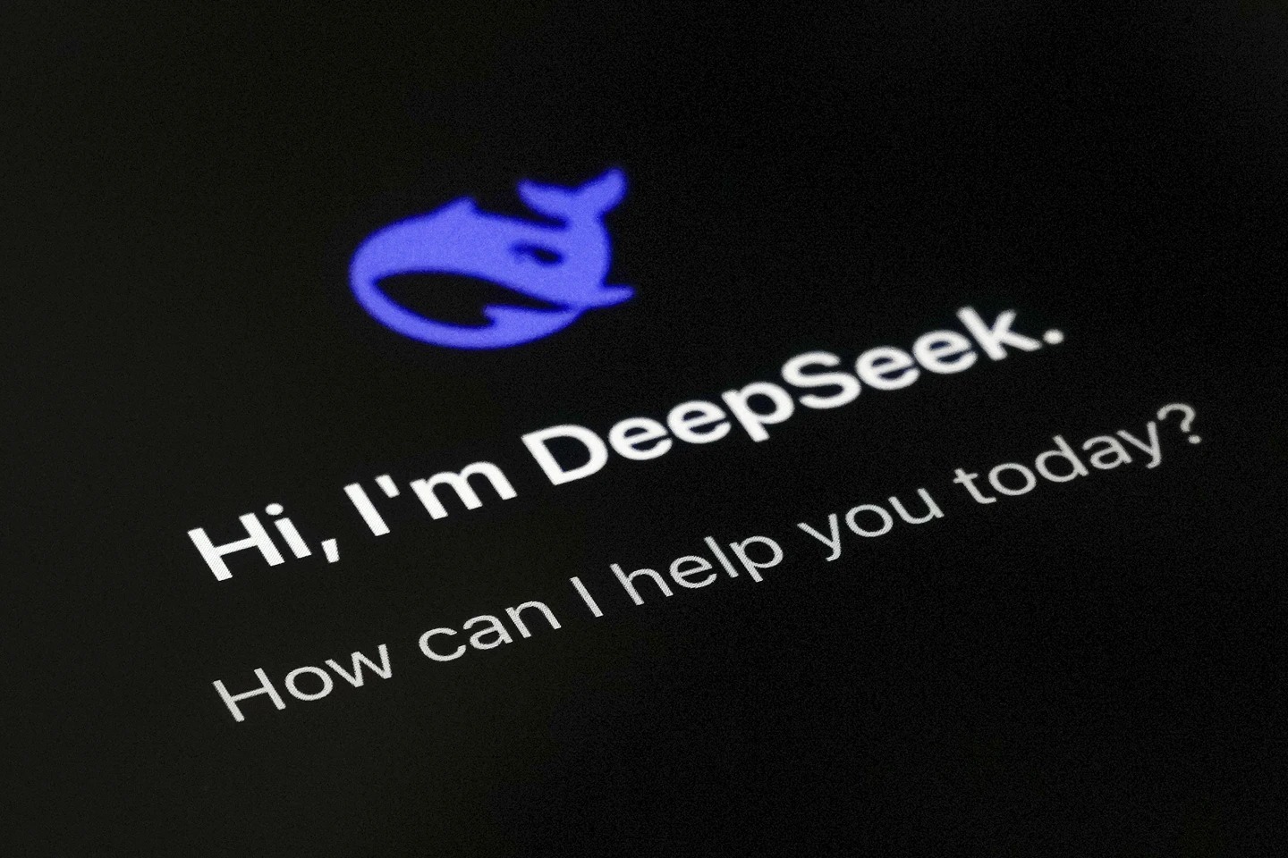 Italy blocks DeepSeek to protect users' data | The Financial Express