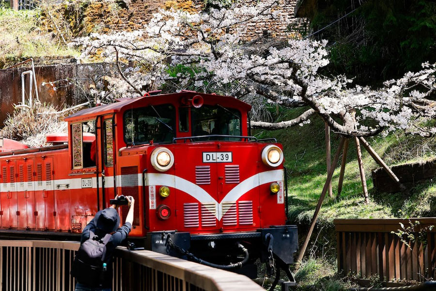 Chasing cherry blossoms on an old steam train in Taiwan | The Financial ...