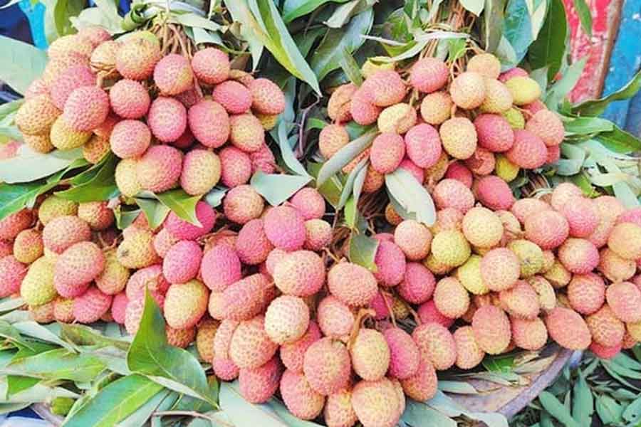 Badamtoli fruit market bustling with seasonal fruits | The Financial ...