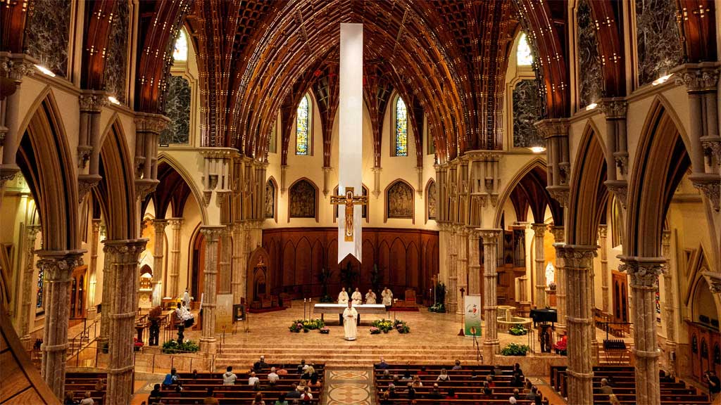 Warm American welcome for new pope masks US church's deep divide | The ...