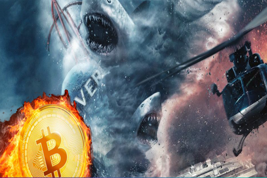 Hollywood making a movie about cryptocurrency | The Financial Express