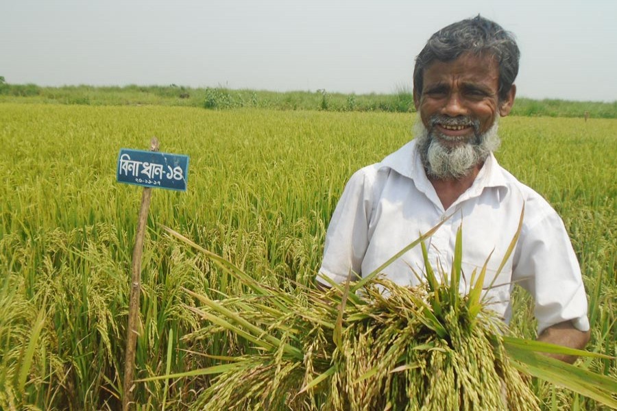 Short-duration paddy can help save crops from early flood | The ...