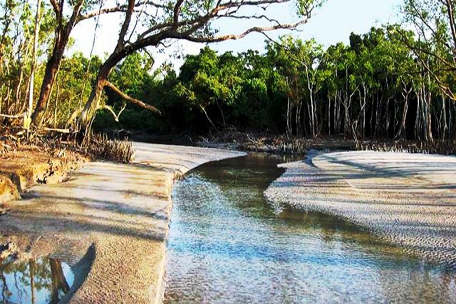 Dublar Char to get 4.5 square km land after dredging Pashur channel ...