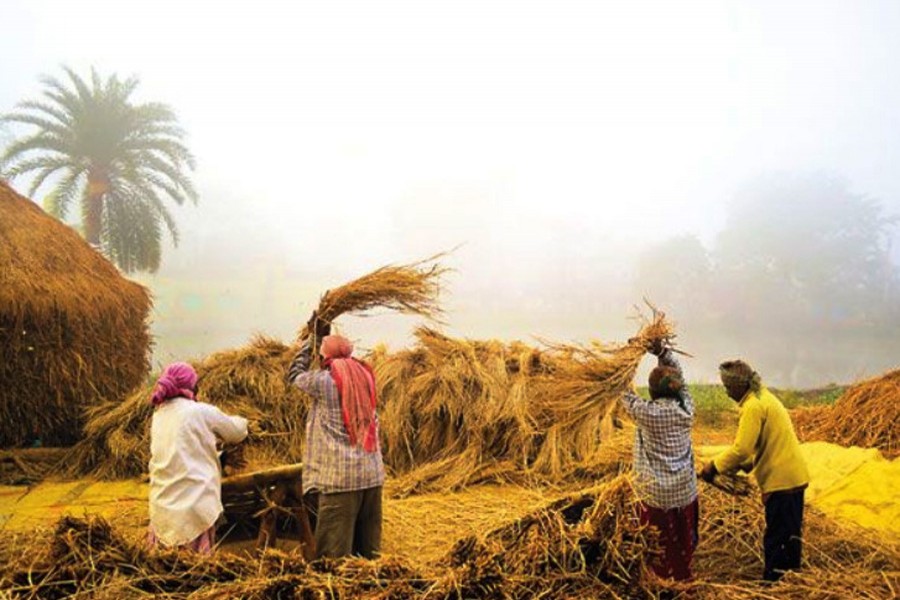 ‘Nabanna Utsab’ being celebrated across country | The Financial Express