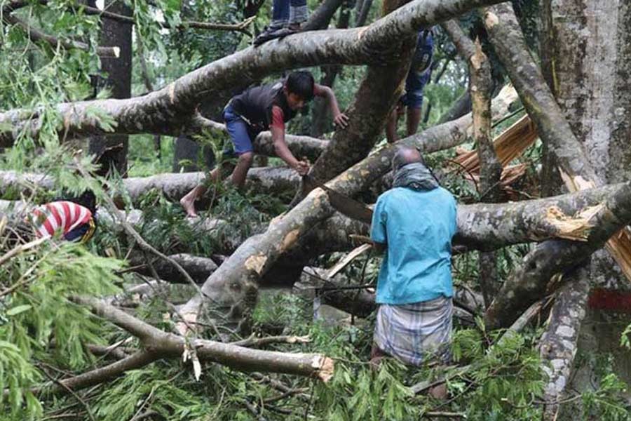Mitigating impact of climate change on the Sundarbans | The Financial ...