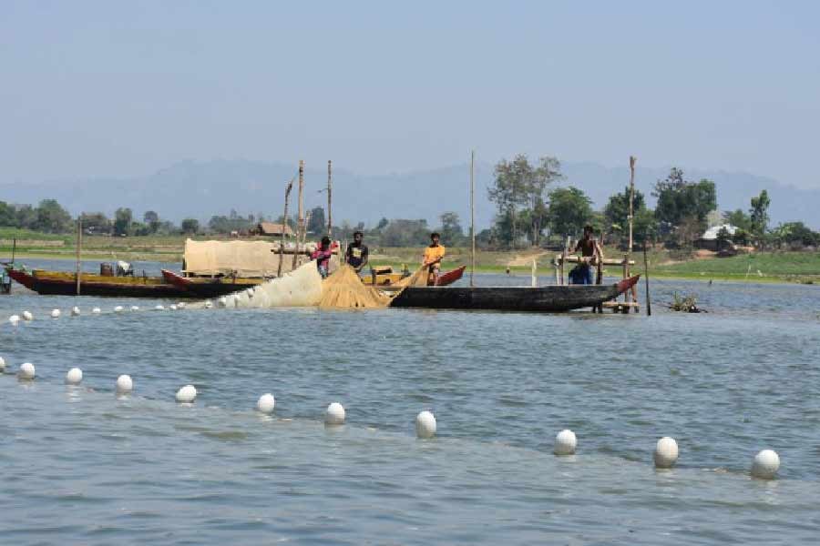 Fishing resumes in Kaptai Lake after 90-day ban | The Financial Express