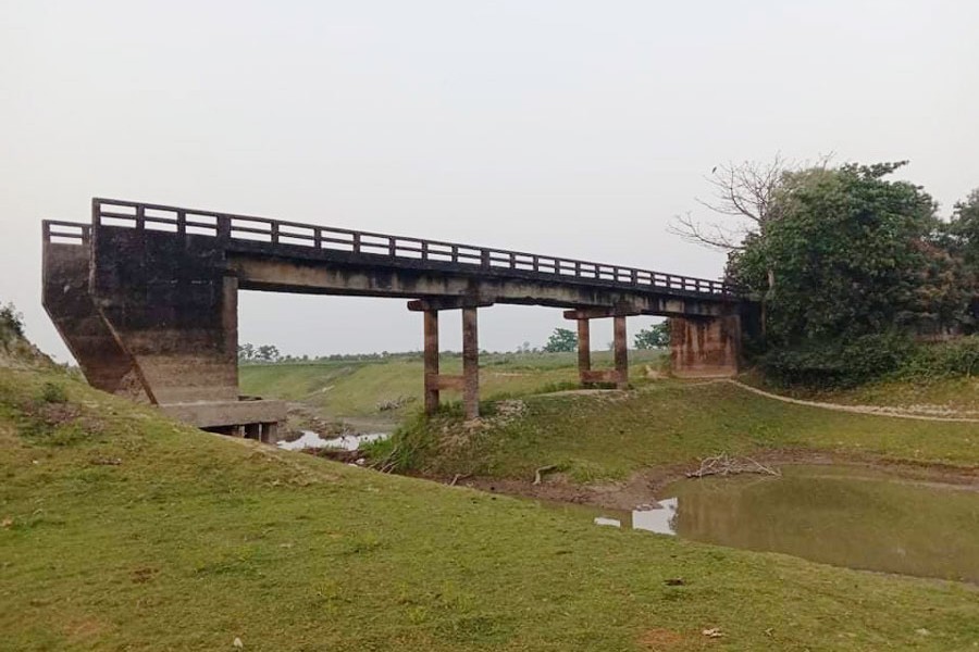 Of broken bridges, bamboo bridge | The Financial Express