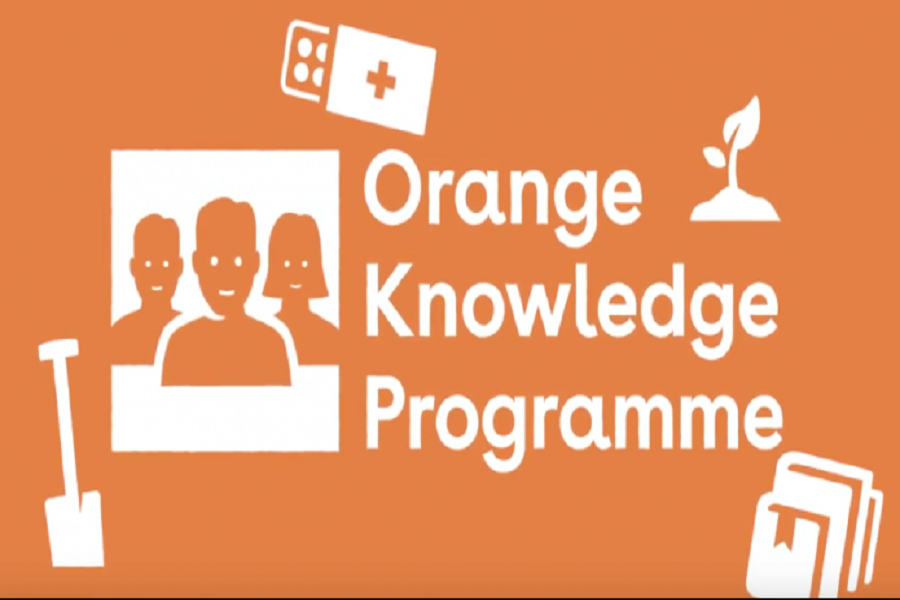 Study in the Netherlands via the Orange Knowledge Programme | The ...