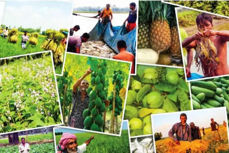 Agro-food processing in need of large-scale investment | The Financial ...