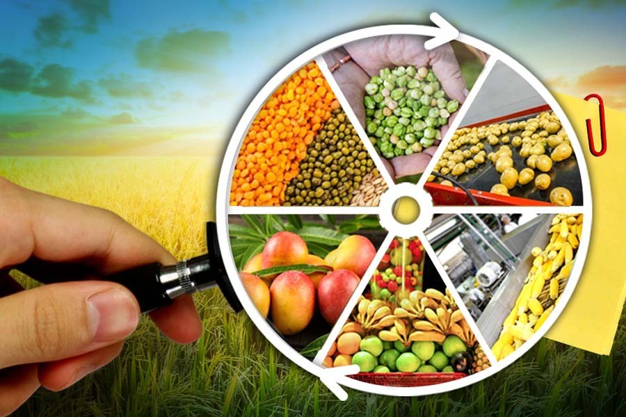 CGIAR launches research portfolio in Bangladesh to tap agri-food ...