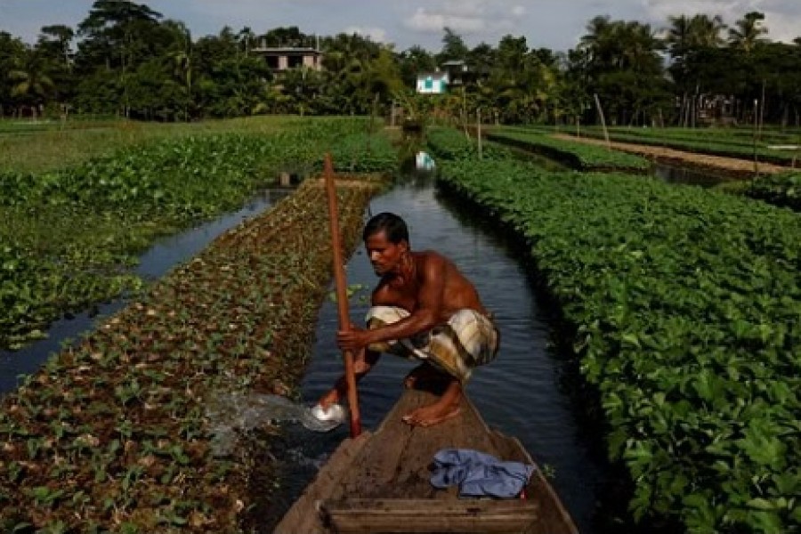 As seas rise, Bangladesh farmers revive floating farms | The Financial ...