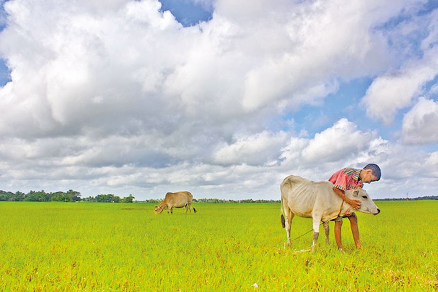 Return of Hemanta with all its attributes | The Financial Express