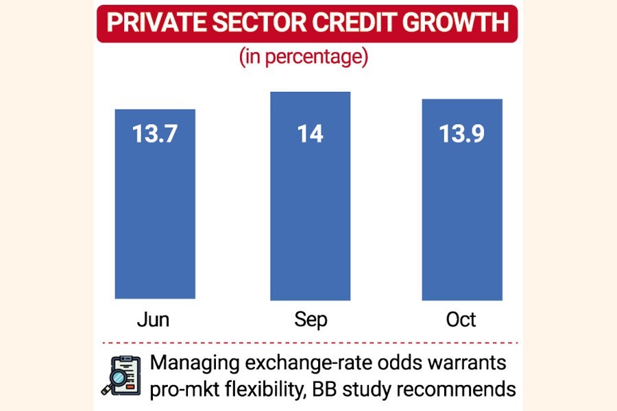 Costly dollar, inflation drive private sector credit flow | The ...